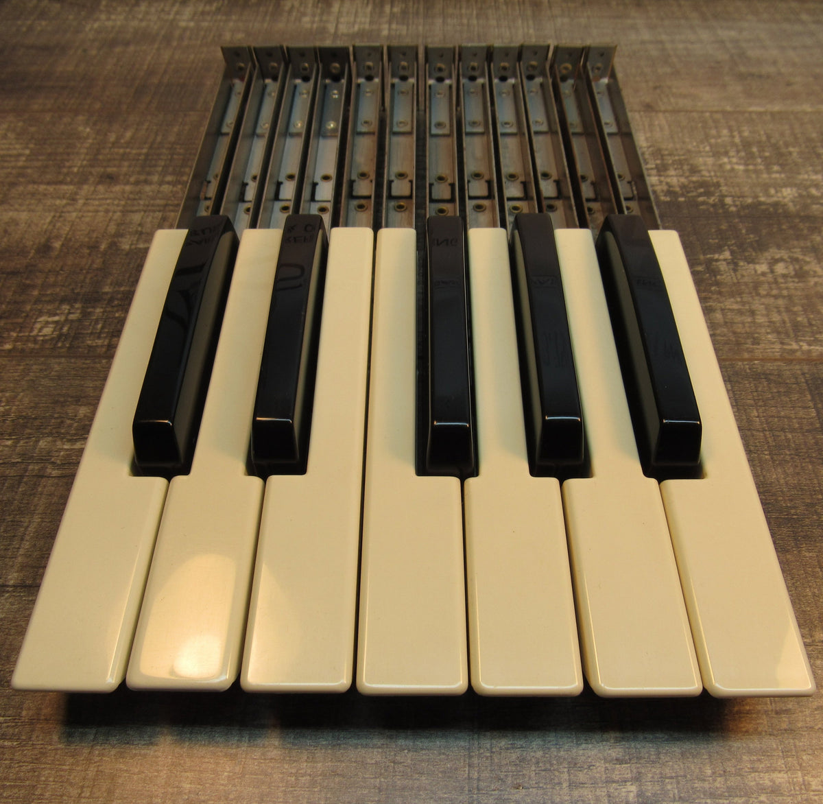 Hammond Organ Replacement Diving Board Keys, Set of 12 — The Chicago ...